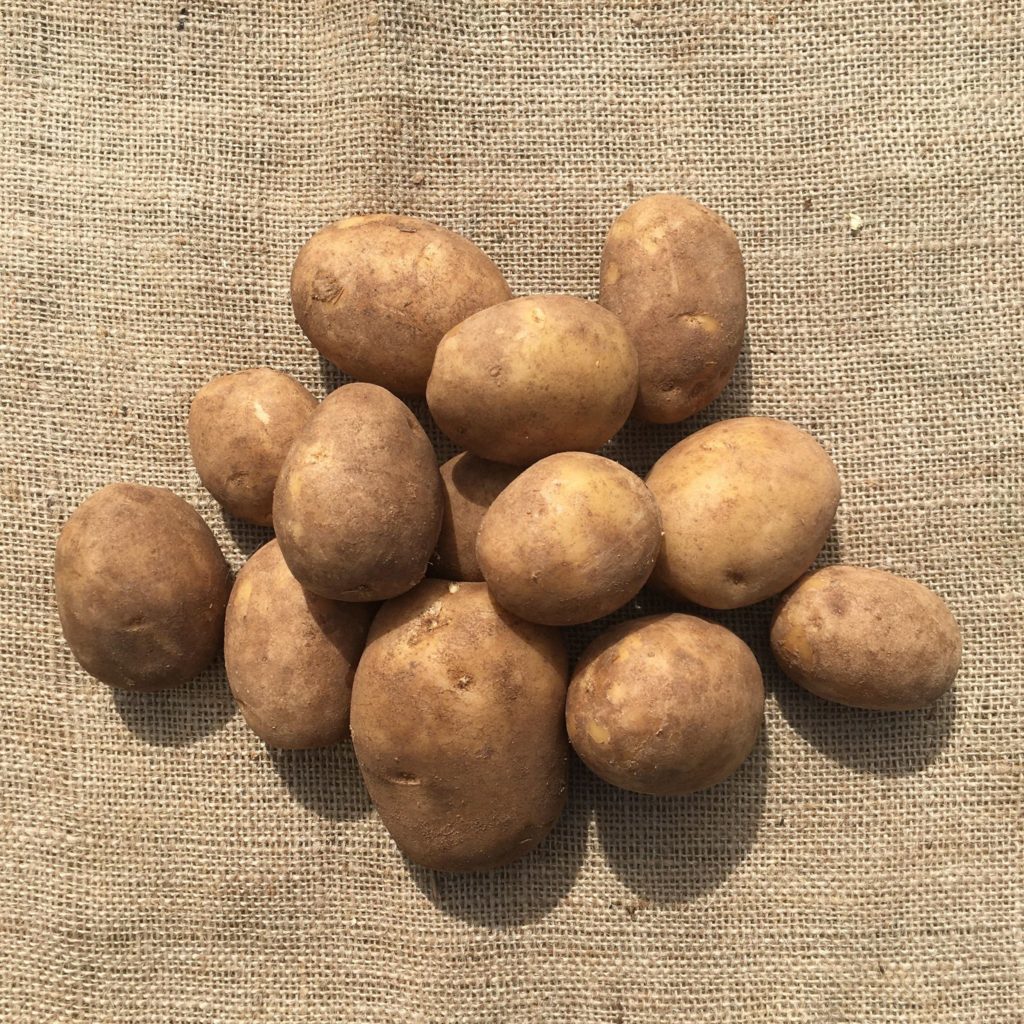 Organic Potato - Sebago | The Wholefood Pantry Palm Beach