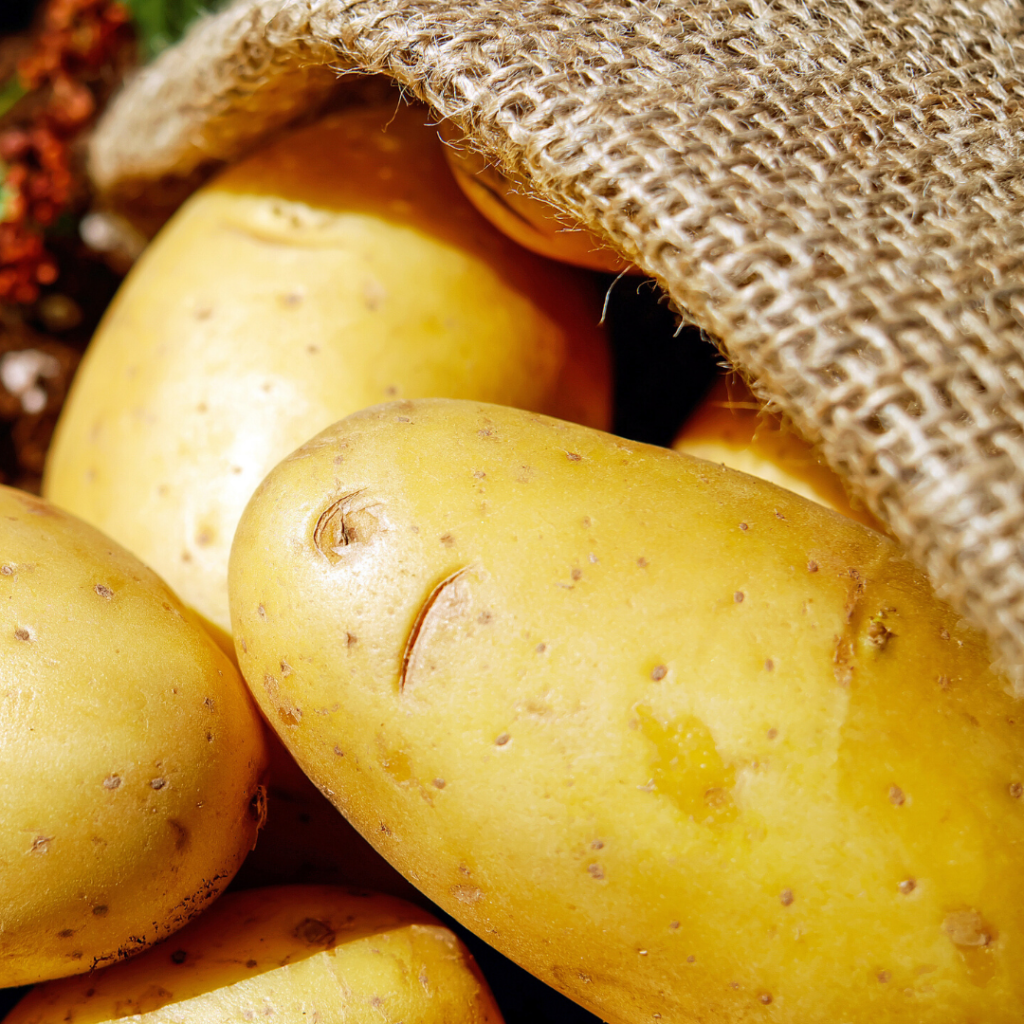 Organic Potato - Dutch Cream | The Wholefood Pantry Palm Beach